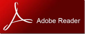 Acrobat Cleaner - Q6 IT Services
